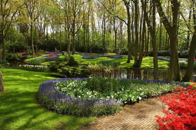 Charlotte Homeowner Tips | Do’s and Don’ts for Your Charlotte ...